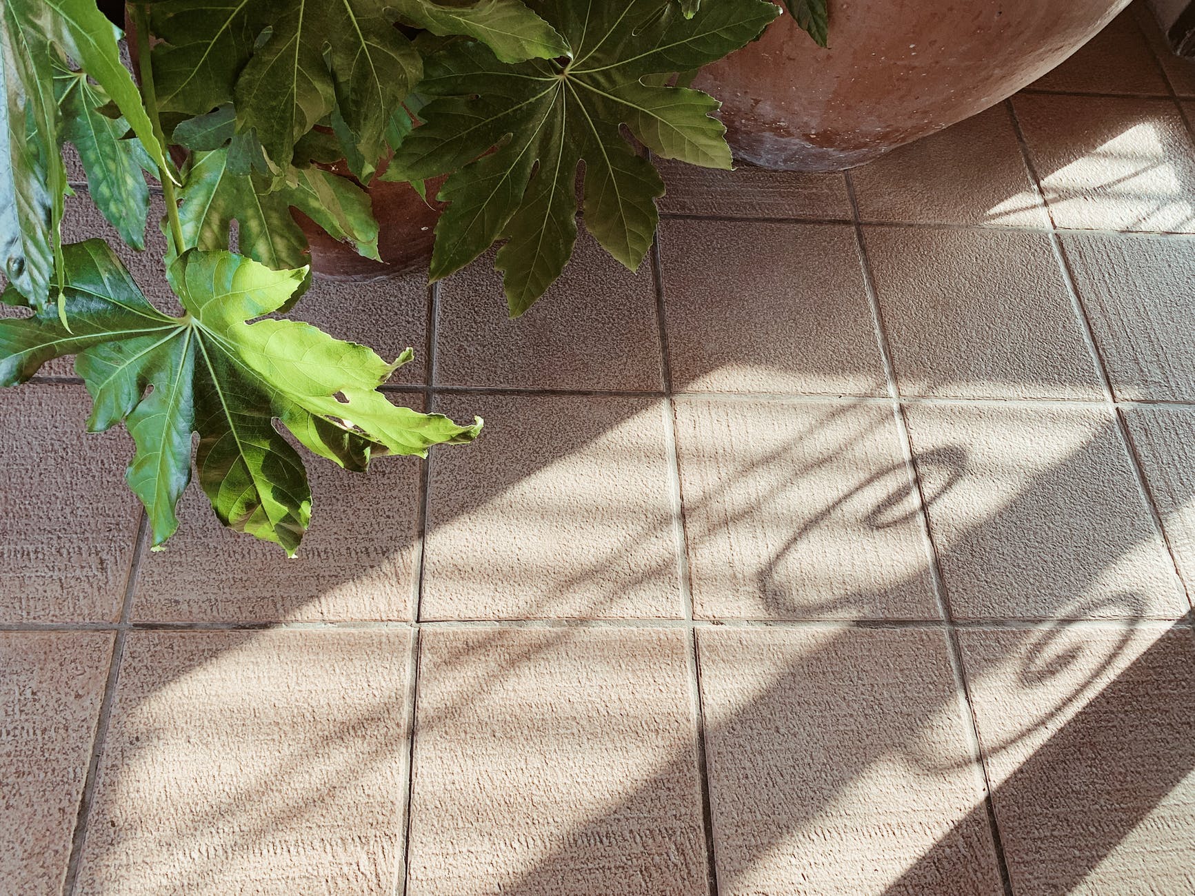 Five Tips for Designing a Partial Shade Garden - MS Architectural