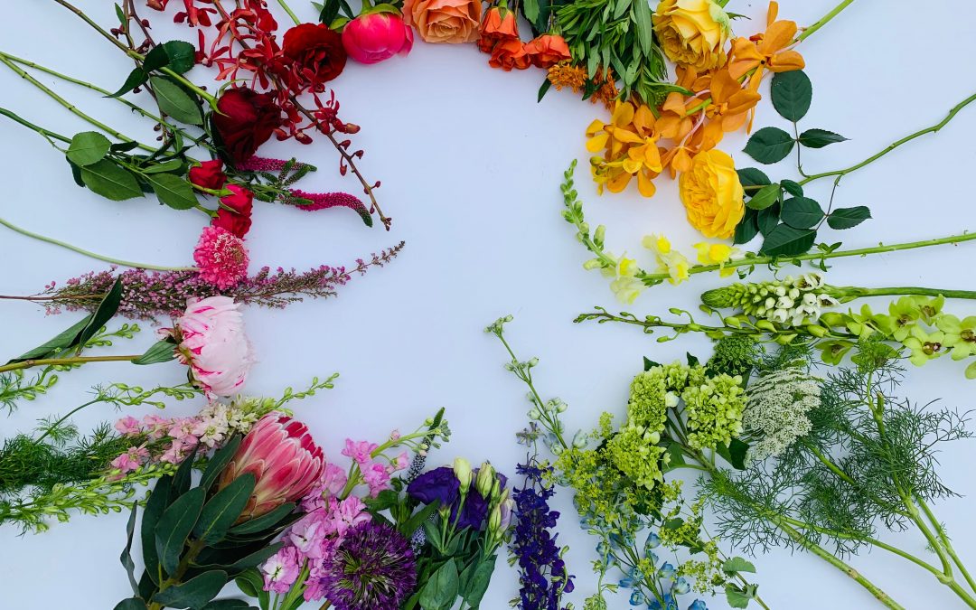 How to Evaluate Colour in Landscaping Design Projects - MS Architectural