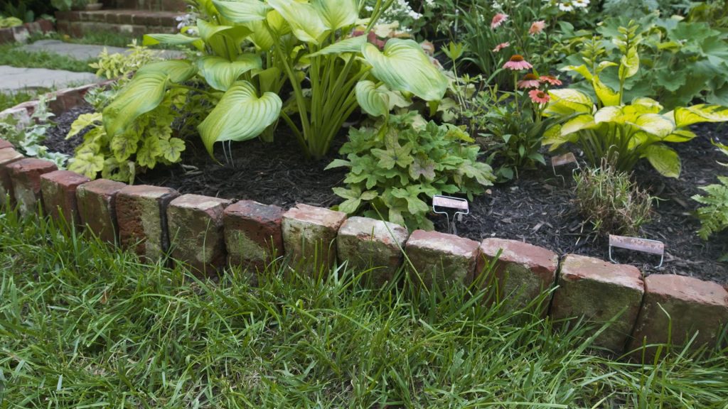 M S Architectural Blog How To Choose A Border For Your Garden
