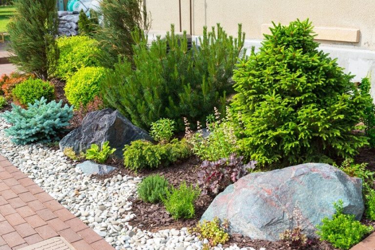Rock vs Mulch: Which is Better? - MS Architectural